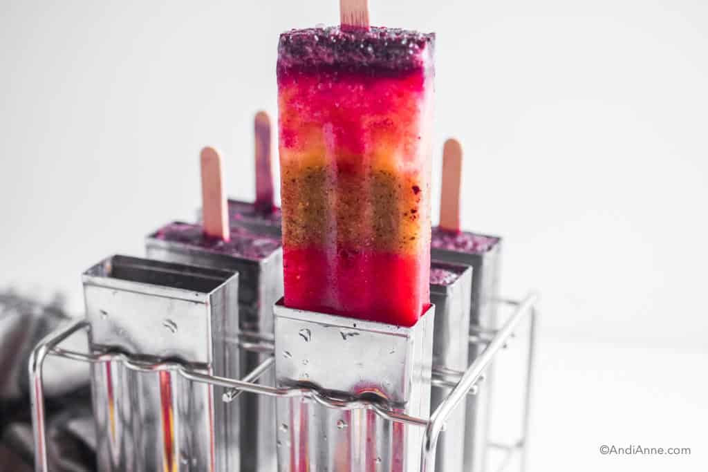 Real Fruit Popsicles (Rainbow, All-Natural, The Perfect Summer Treat)
