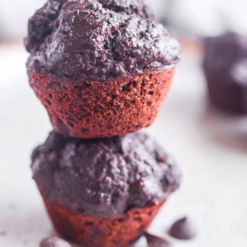 Chocolate Protein Mini Muffins - Andi Anne