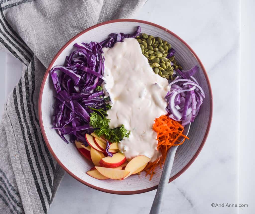 Carrot Apple Cabbage Coleslaw - AndiAnne