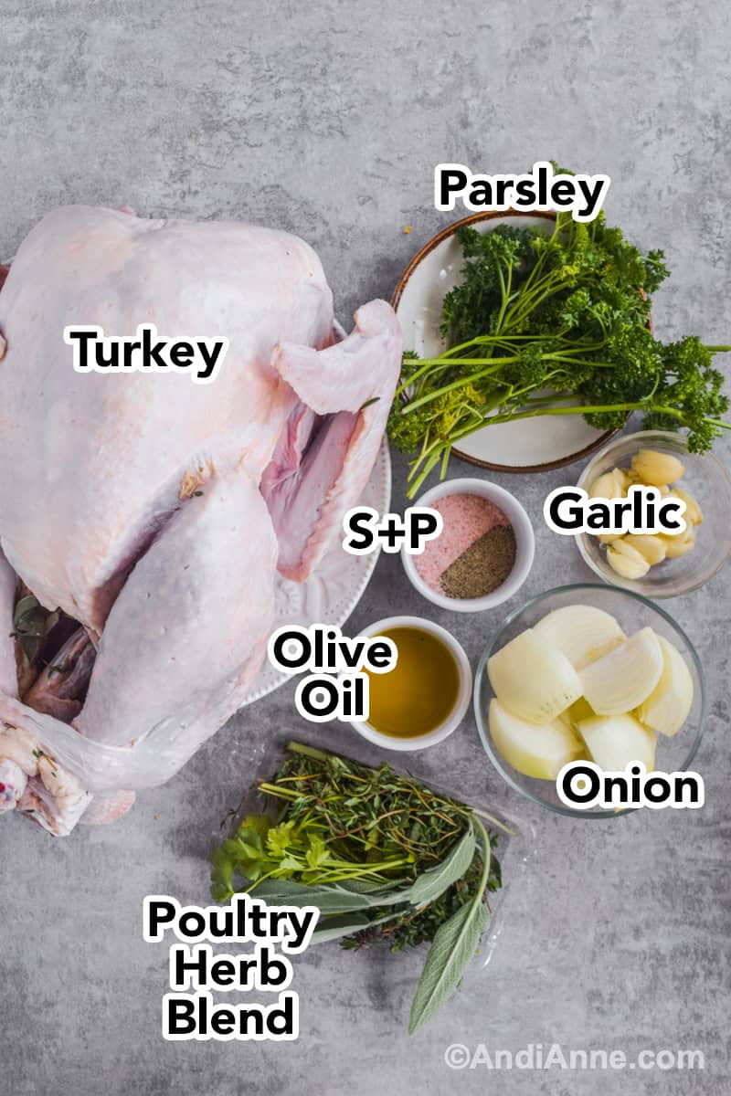 How To Roast A Turkey - Andi Anne