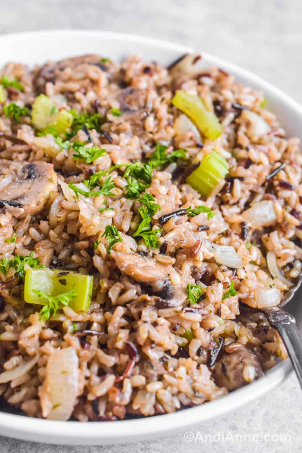 Wild Rice Stuffing - Andi Anne