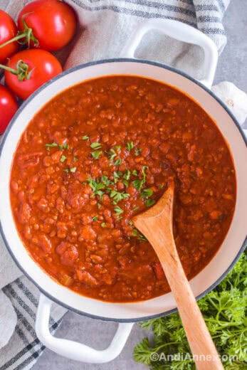 Ground Beef Spaghetti Sauce