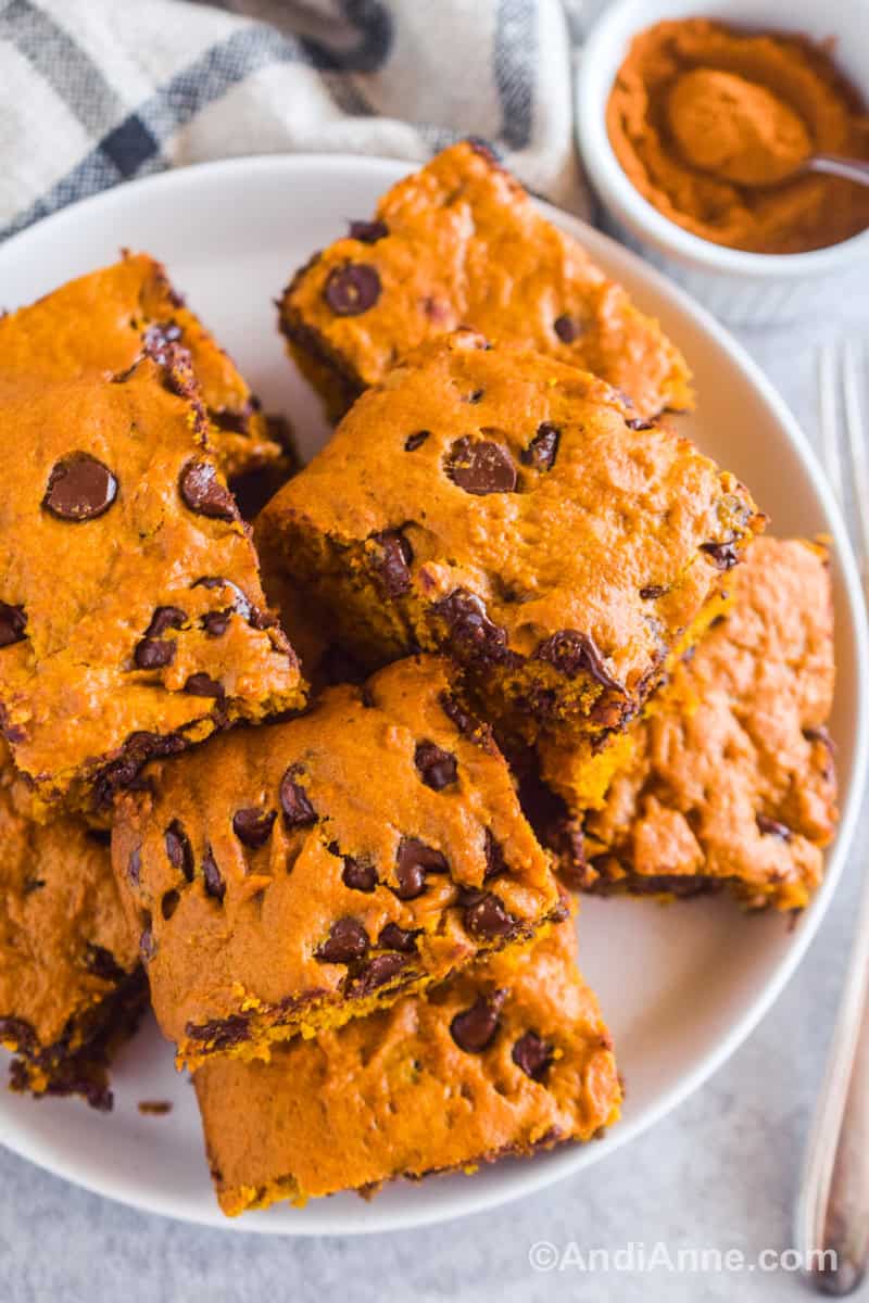 Pumpkin Chocolate Chip Bars - Andi Anne