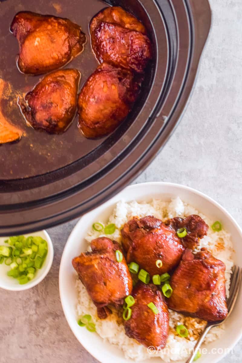 Slow Cooker Soy Sauce Chicken - Andi Anne