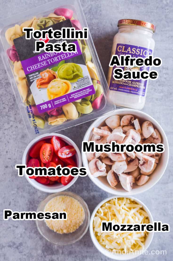 Tortellini Cheese Casserole - Andi Anne