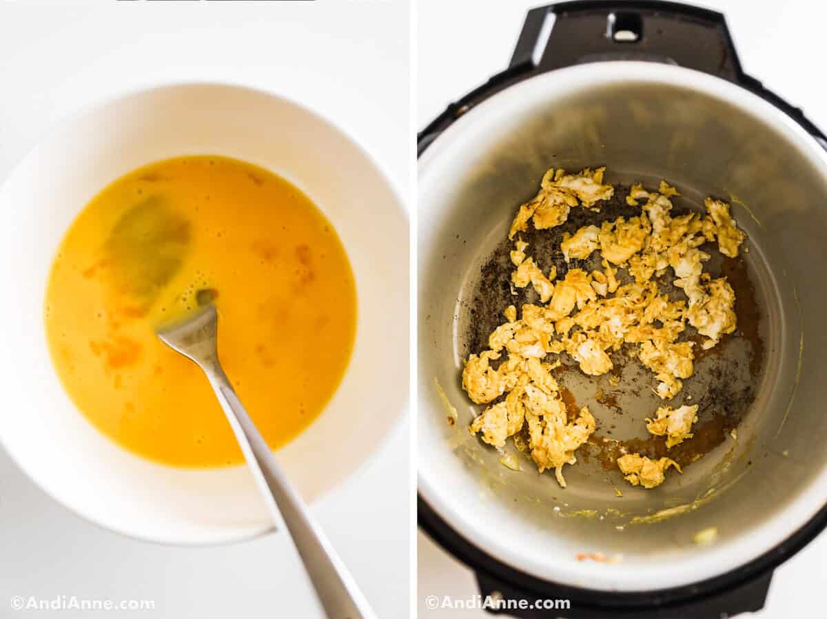 Instant Pot Chicken Fried Rice