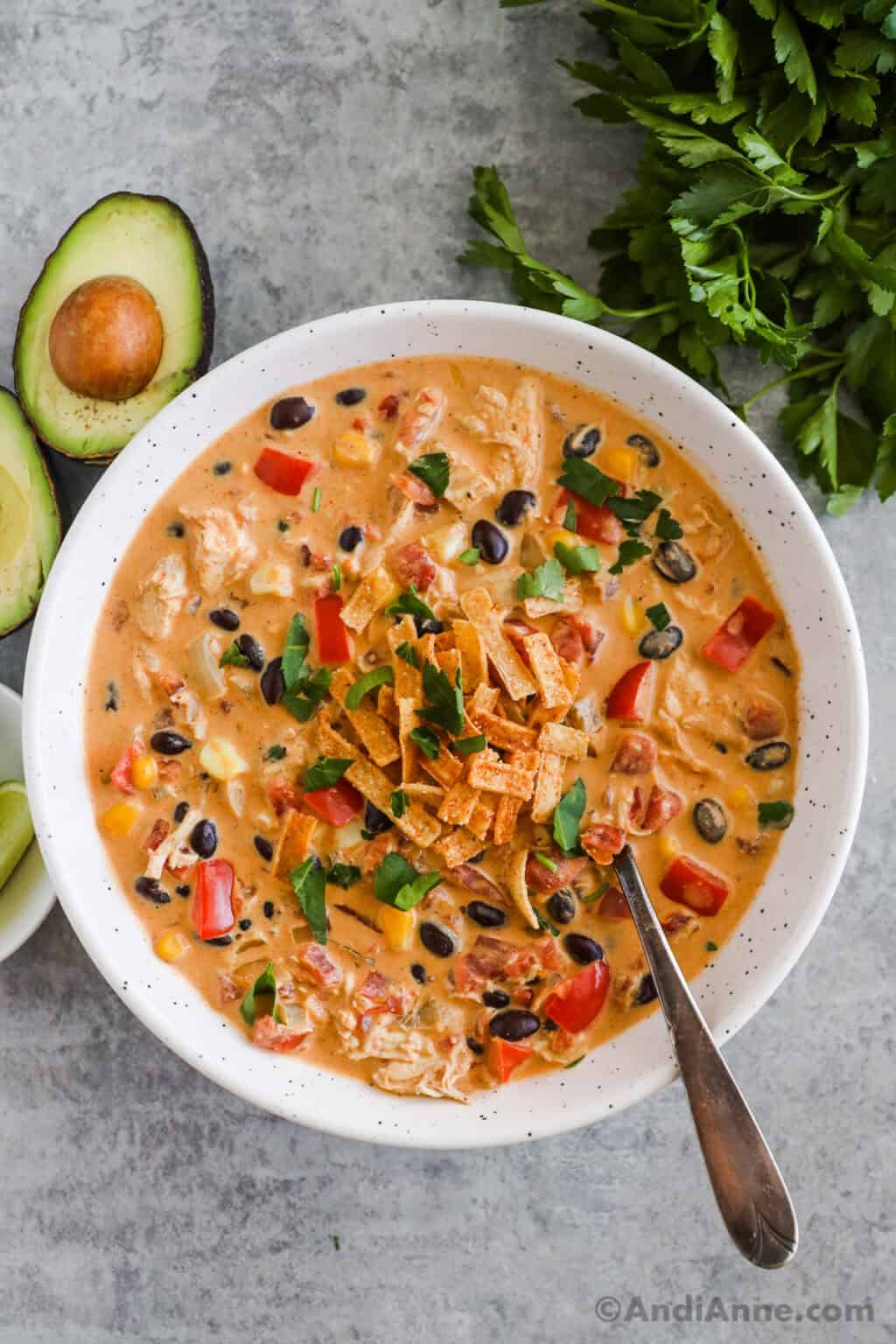 Chicken Taco Soup - AndiAnne