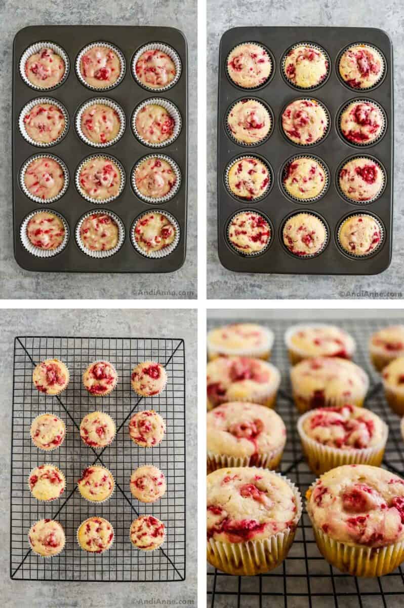 Raspberry Muffins