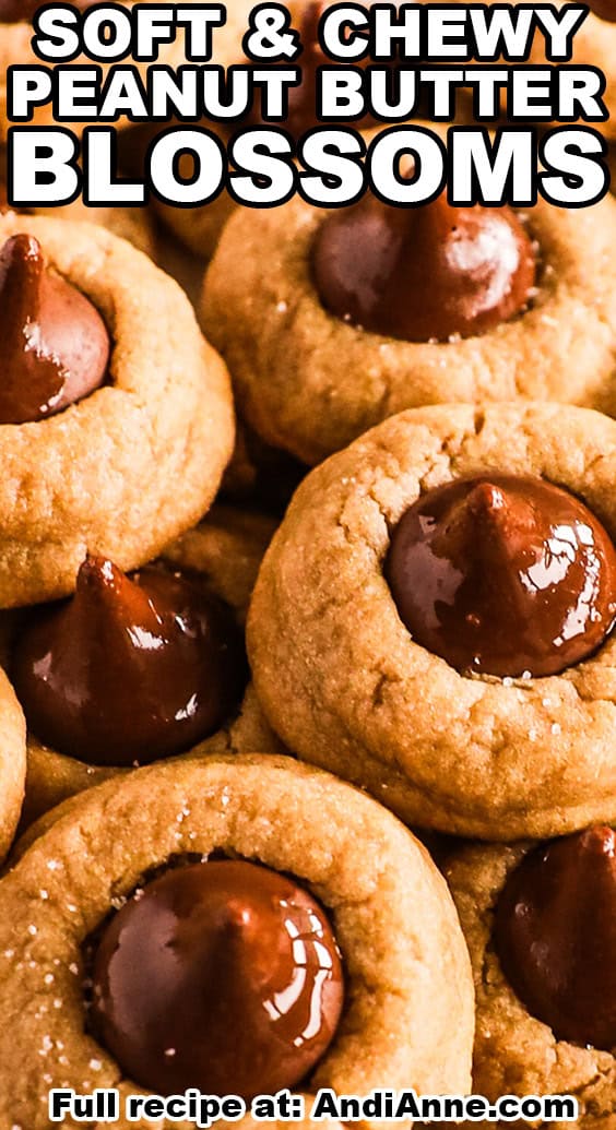 Peanut Butter Blossoms Cookies