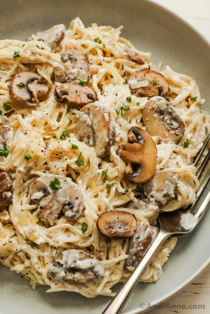 Creamy Parmesan Mushroom Pasta