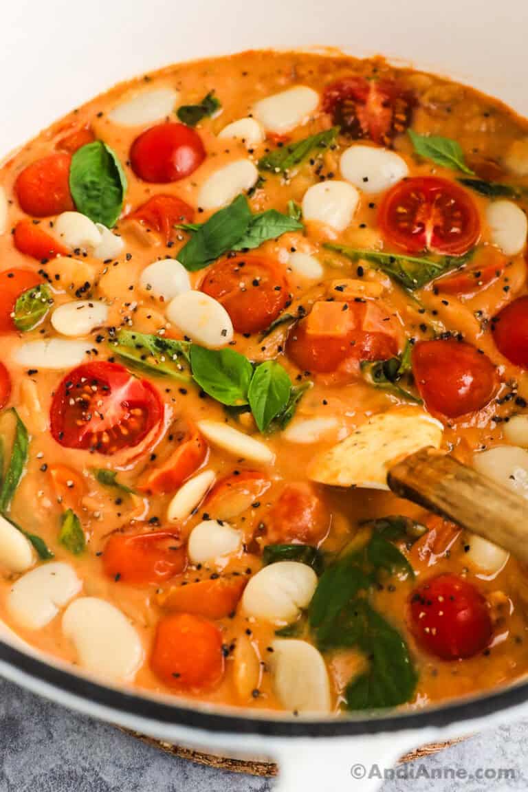 35 Easy One Pot Recipes for Busy Weeknights (Family-Friendly)