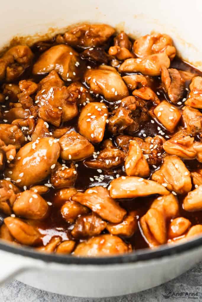 Homemade Chicken Bouillon Powder